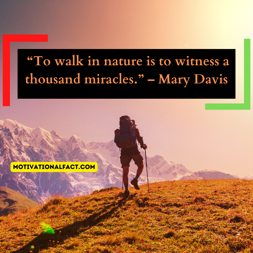 100+ EPIC Hiking & Trekking Quotes To Inspire You