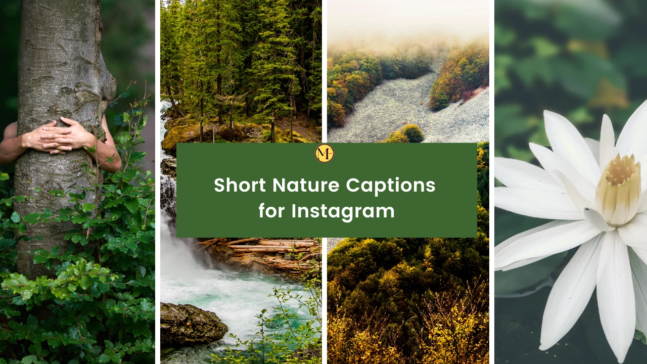 Short Nature Captions for Instagram: Elevate Every Outdoor Moment
